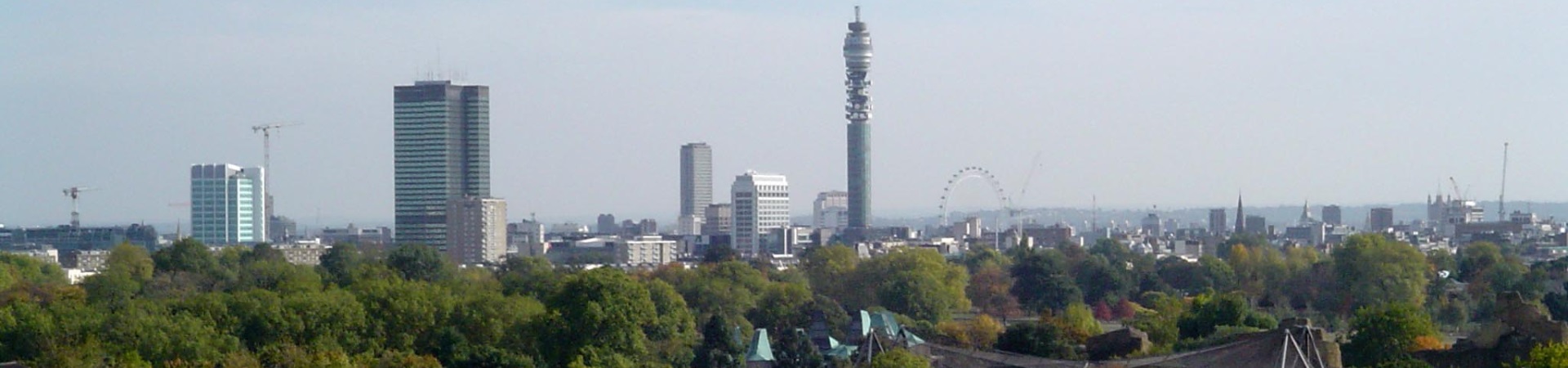 Surveys in London & The Home Counties - Woolfe & Co | RICS